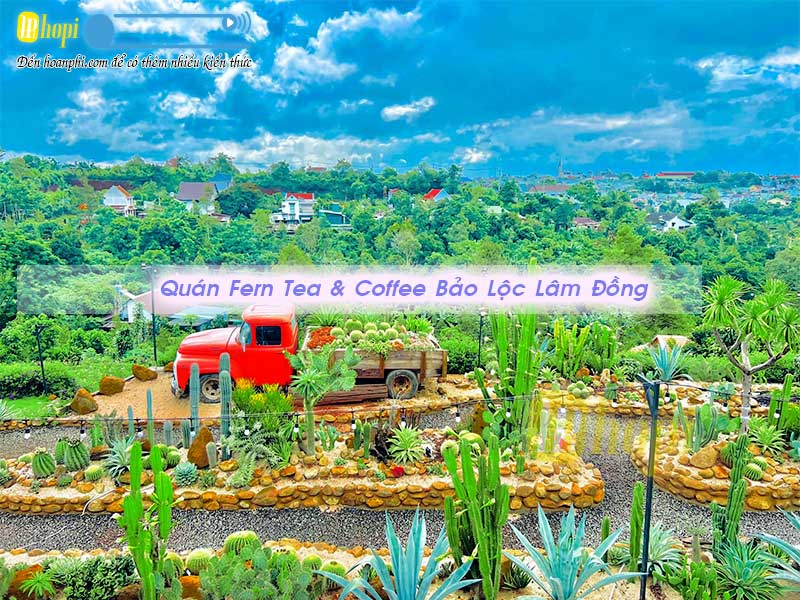 Review of The Fern Coffee Shop Bao Loc Lam Dong